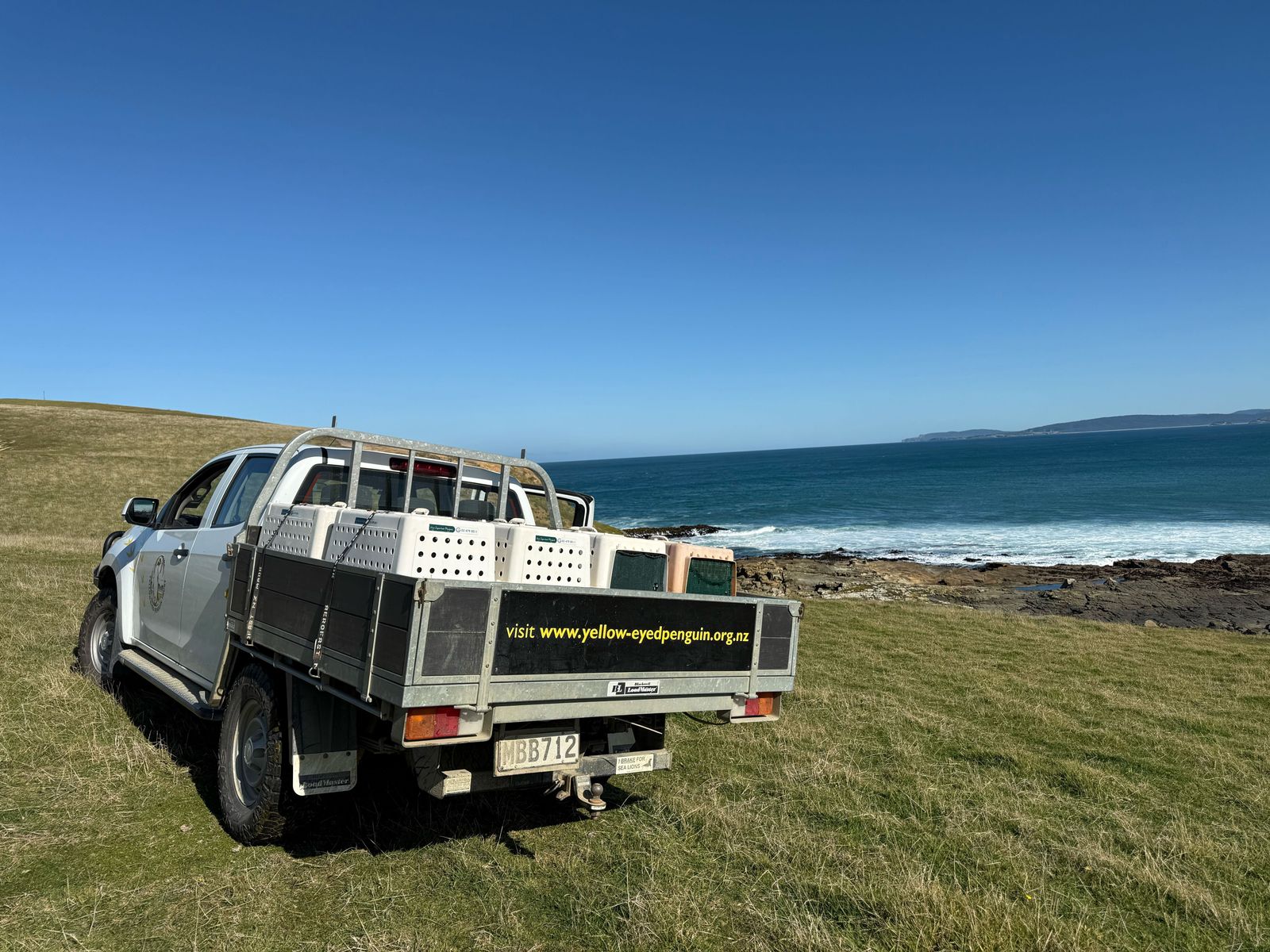 Yellow-eyed Penguin Trust - Dunedin, New Zealand | Endangered Hoiho